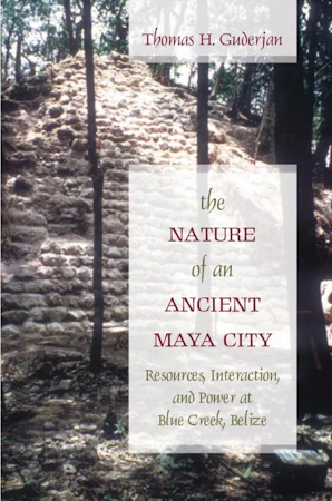 The Nature of an Ancient Maya City